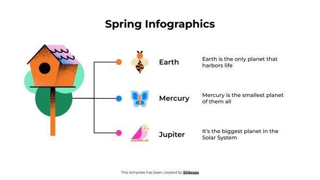 Spring Infographics Template