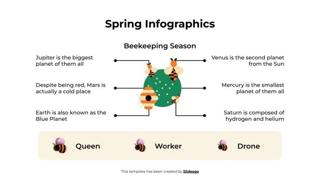Spring Infographics Template