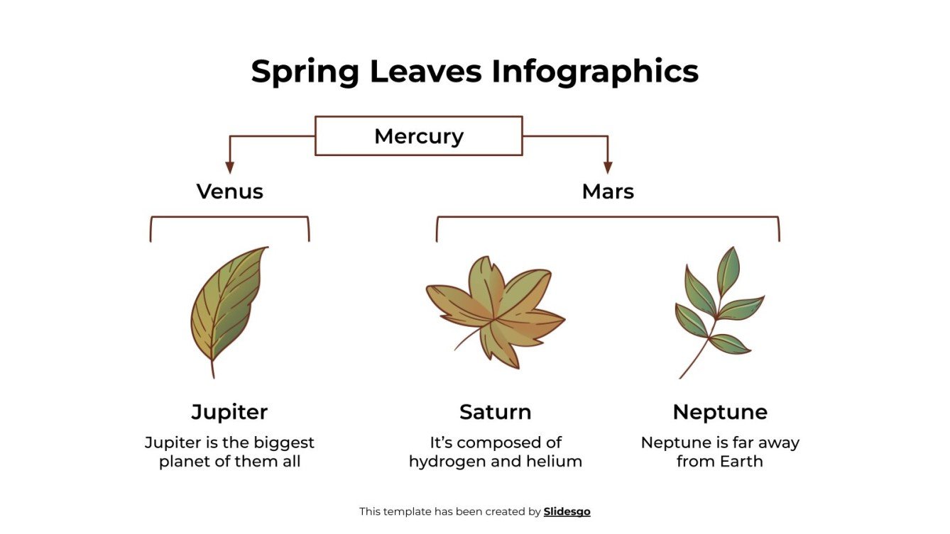 Spring Leaves Infographics Template