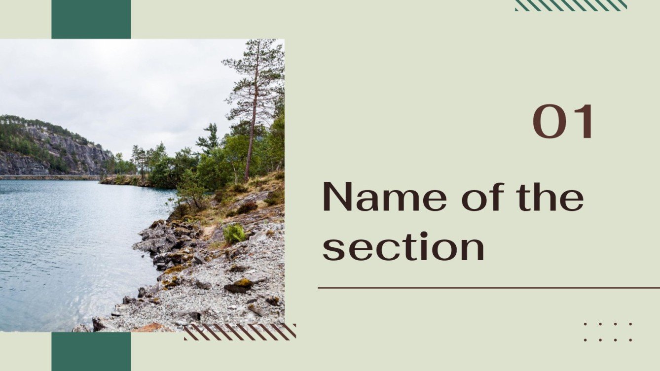 Corporate Social Responsibility Plan Template