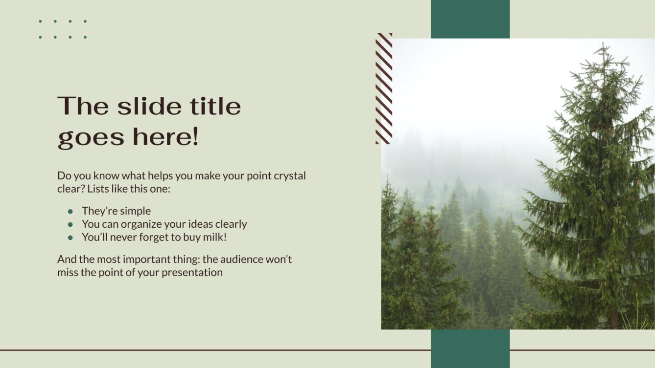 Corporate Social Responsibility Plan Template