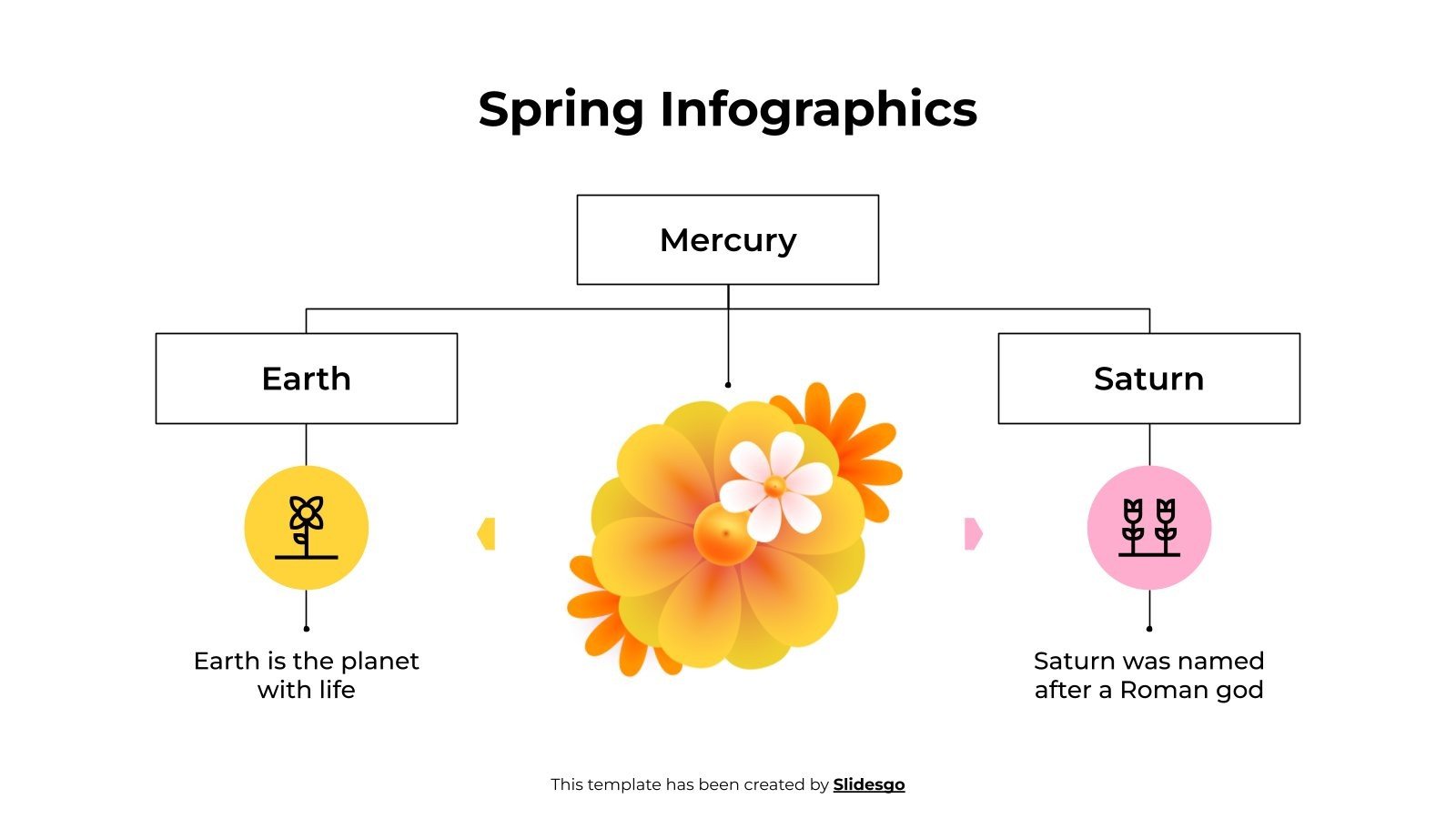 Spring Infographics
