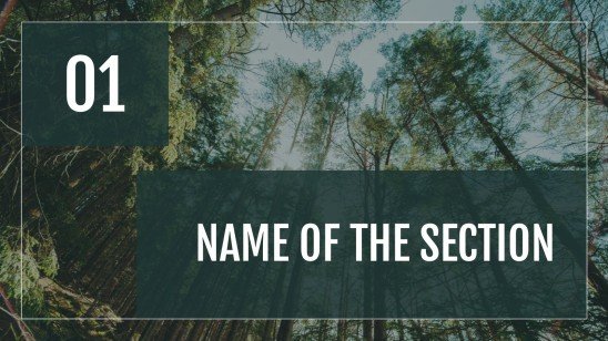 Corporate Social Responsibility Plan Template