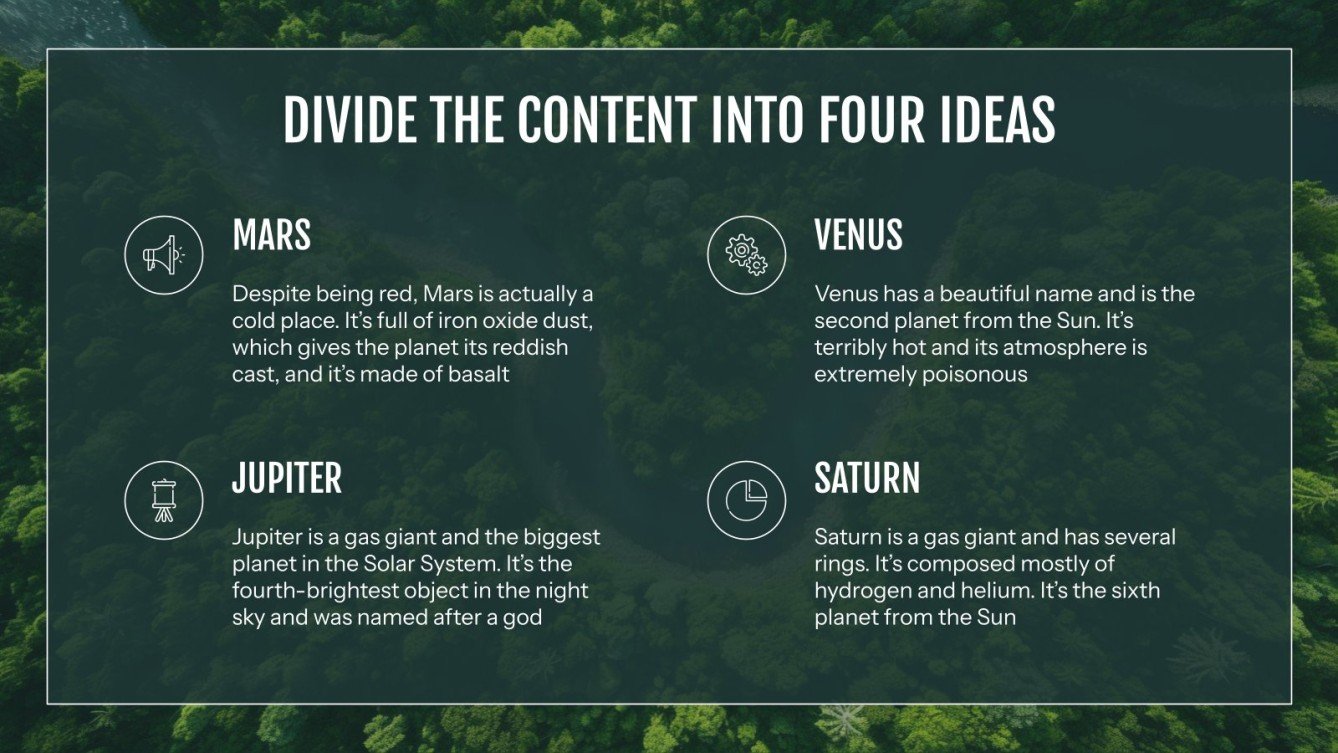 Corporate Social Responsibility Plan Template
