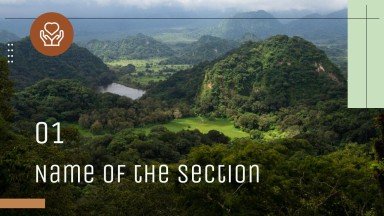 Corporate Social Responsibility Plan Template