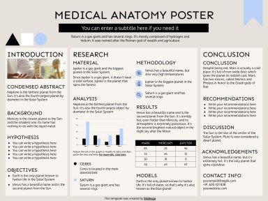 Medical Anatomy Poster Presentation