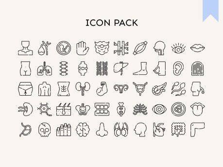 Medical Anatomy Poster Presentation