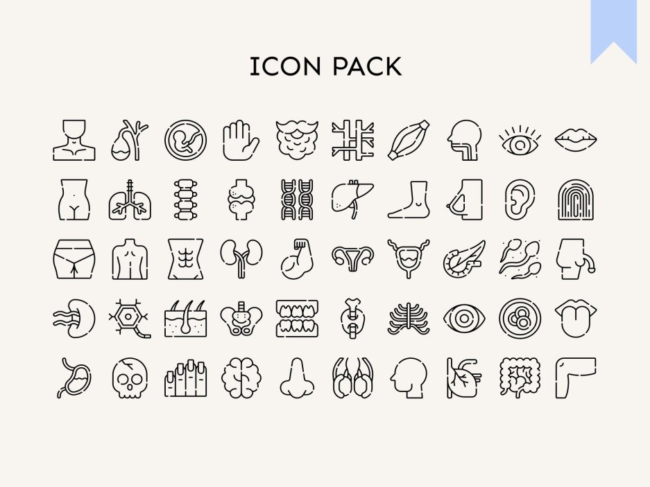 Medical Anatomy Poster Presentation