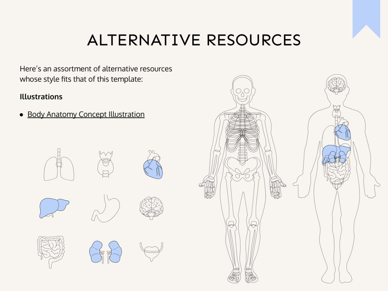Medical Anatomy Poster Presentation