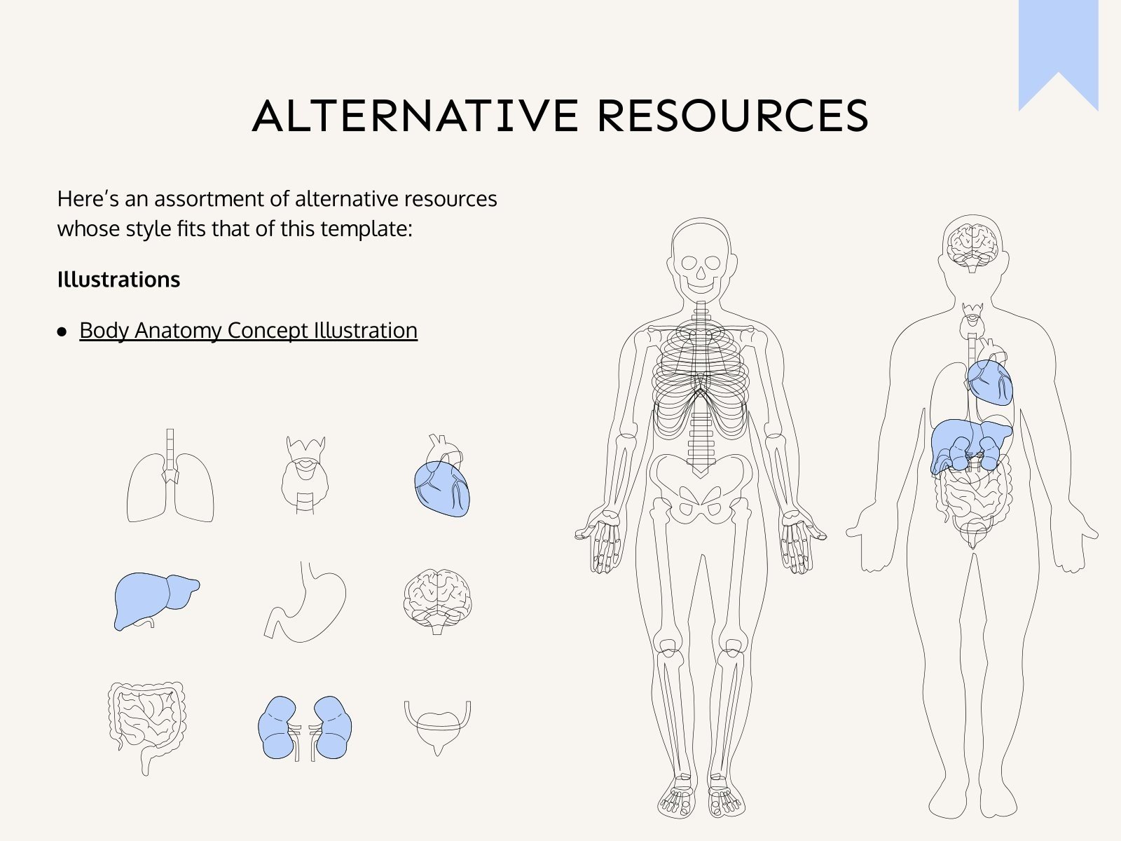 Medical Anatomy Poster Presentation