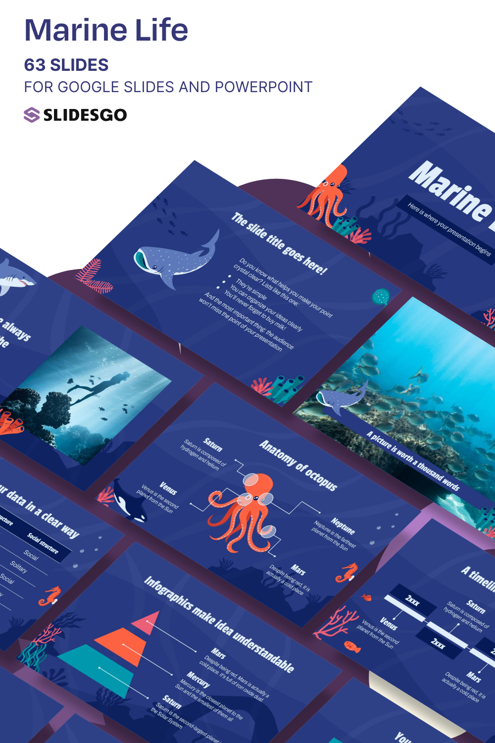 Marine Life Presentation