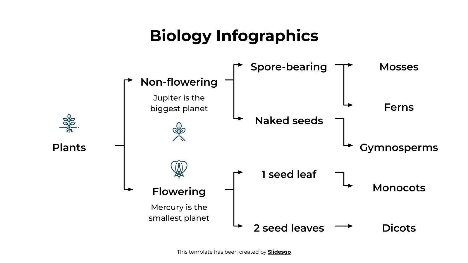 Biology Infographics Template