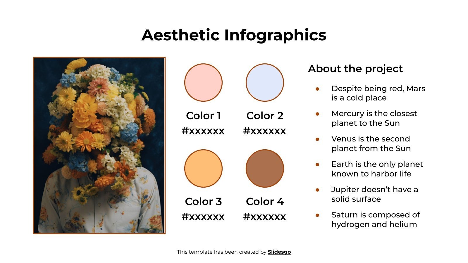 Aesthetic Infographics Template