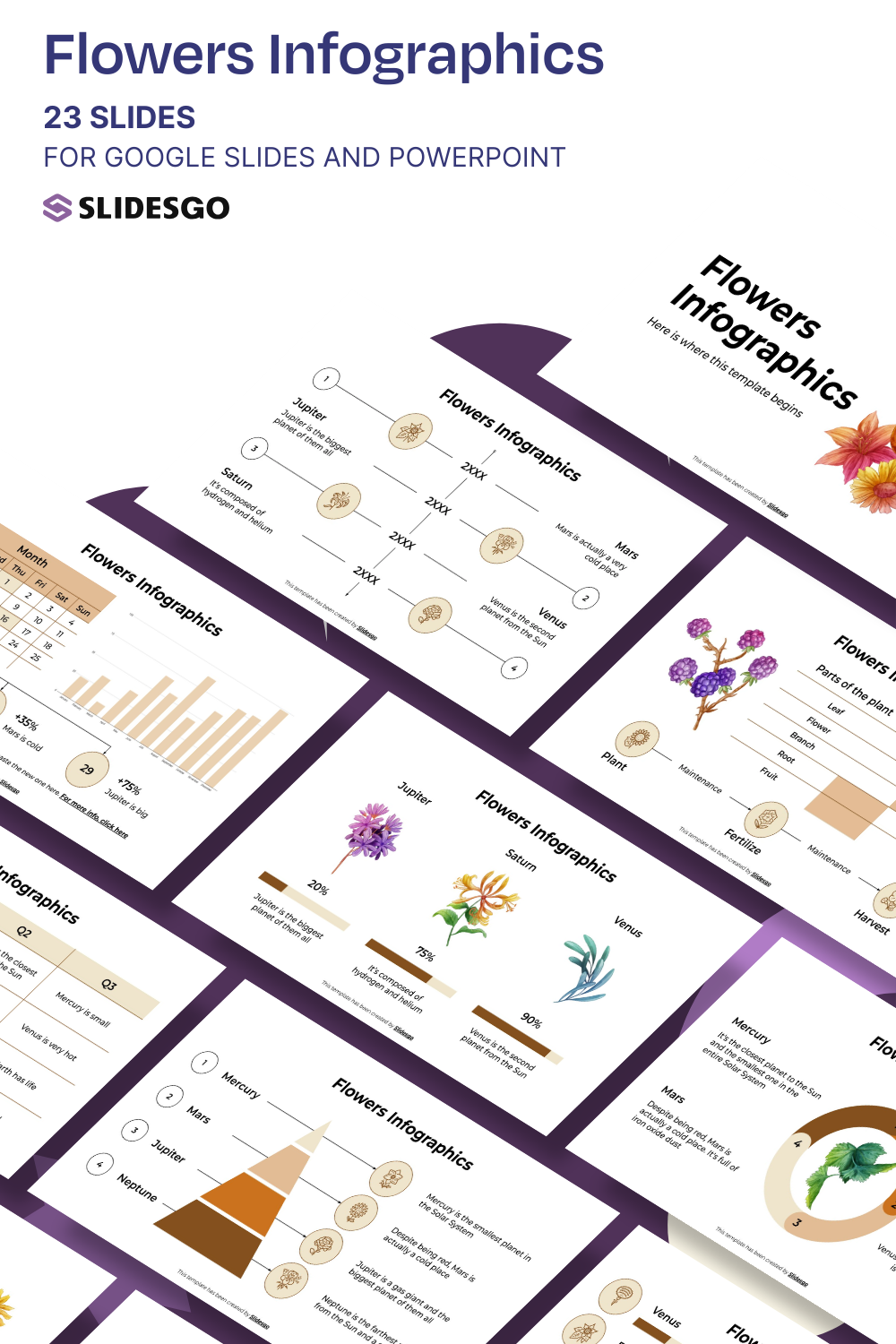 Flowers Infographics Template