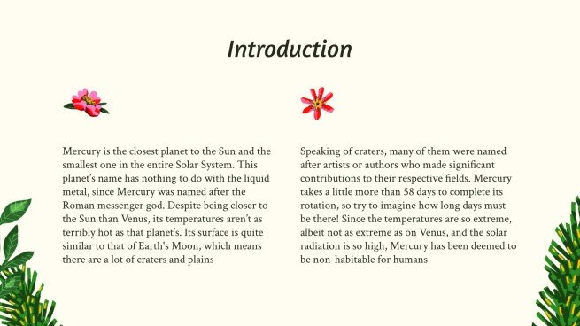 It's Spring Season Presentation