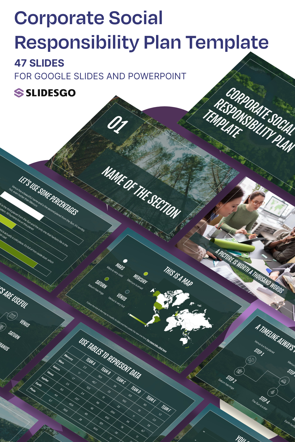 Corporate Social Responsibility Plan Template