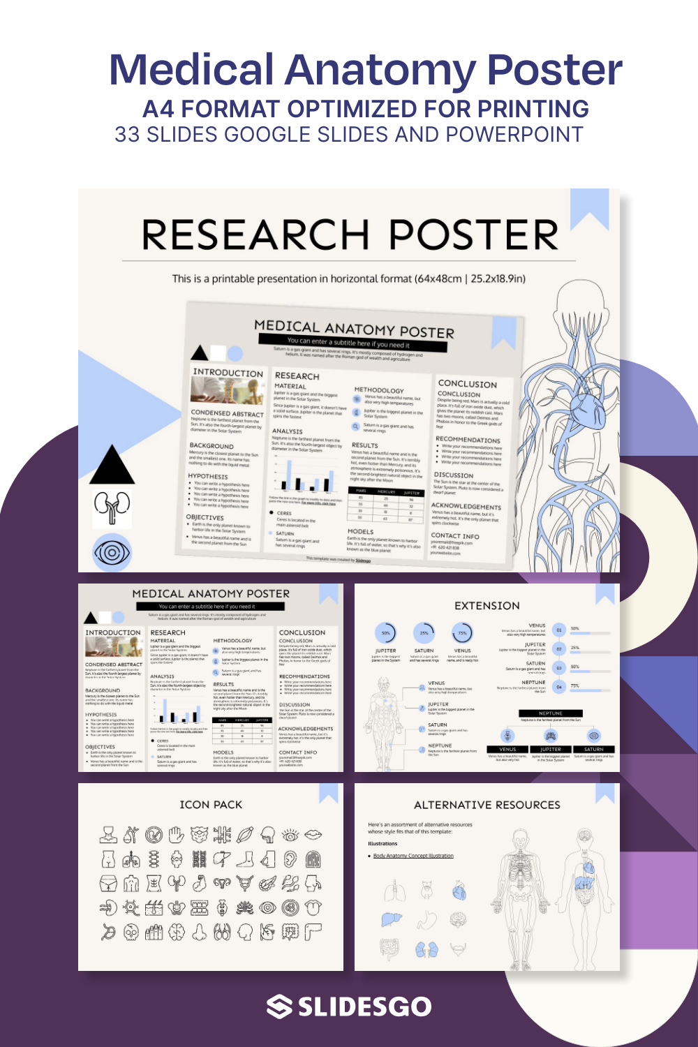 Medical Anatomy Poster Presentation