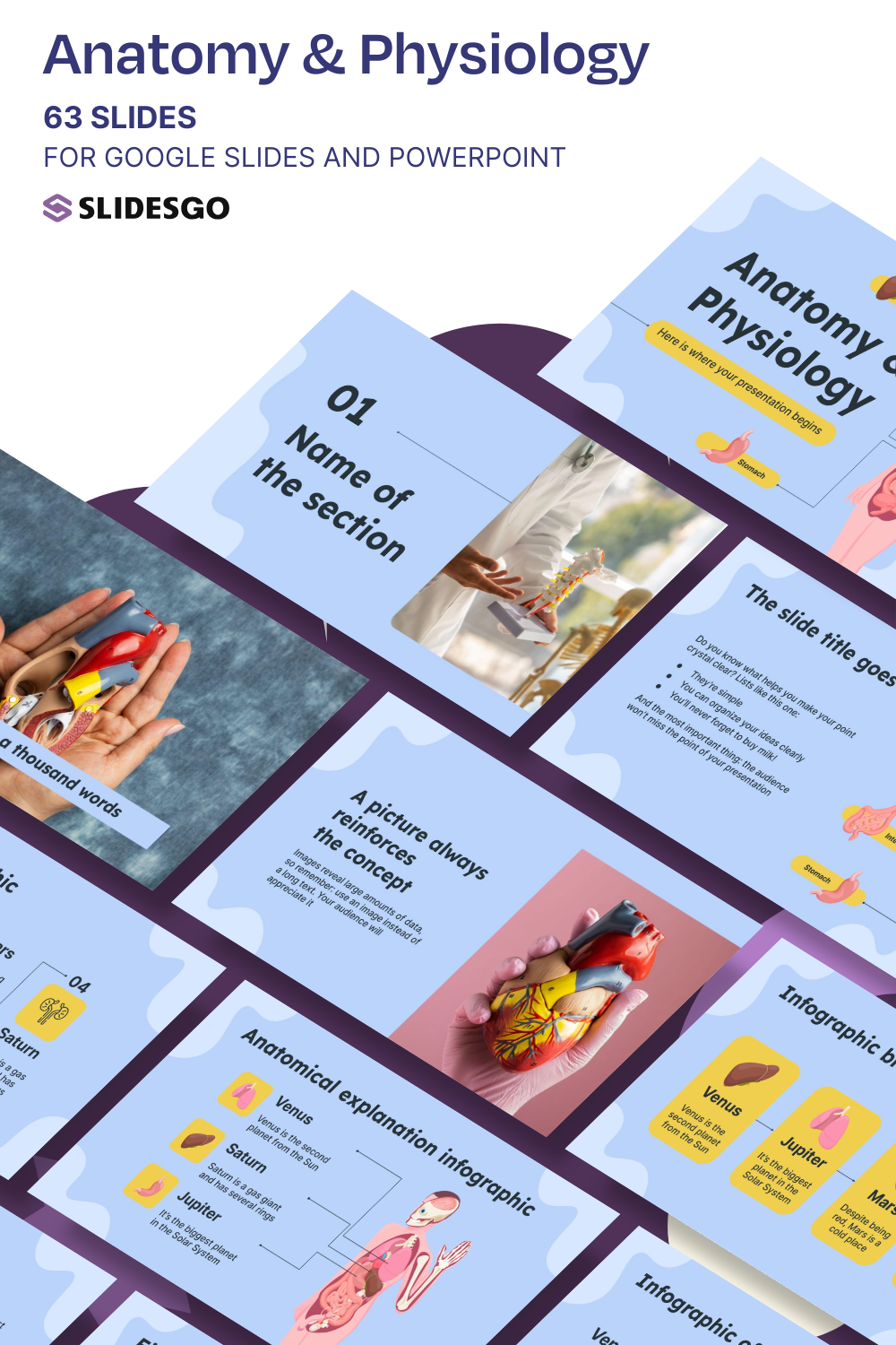 Anatomy & Physiology Presentation