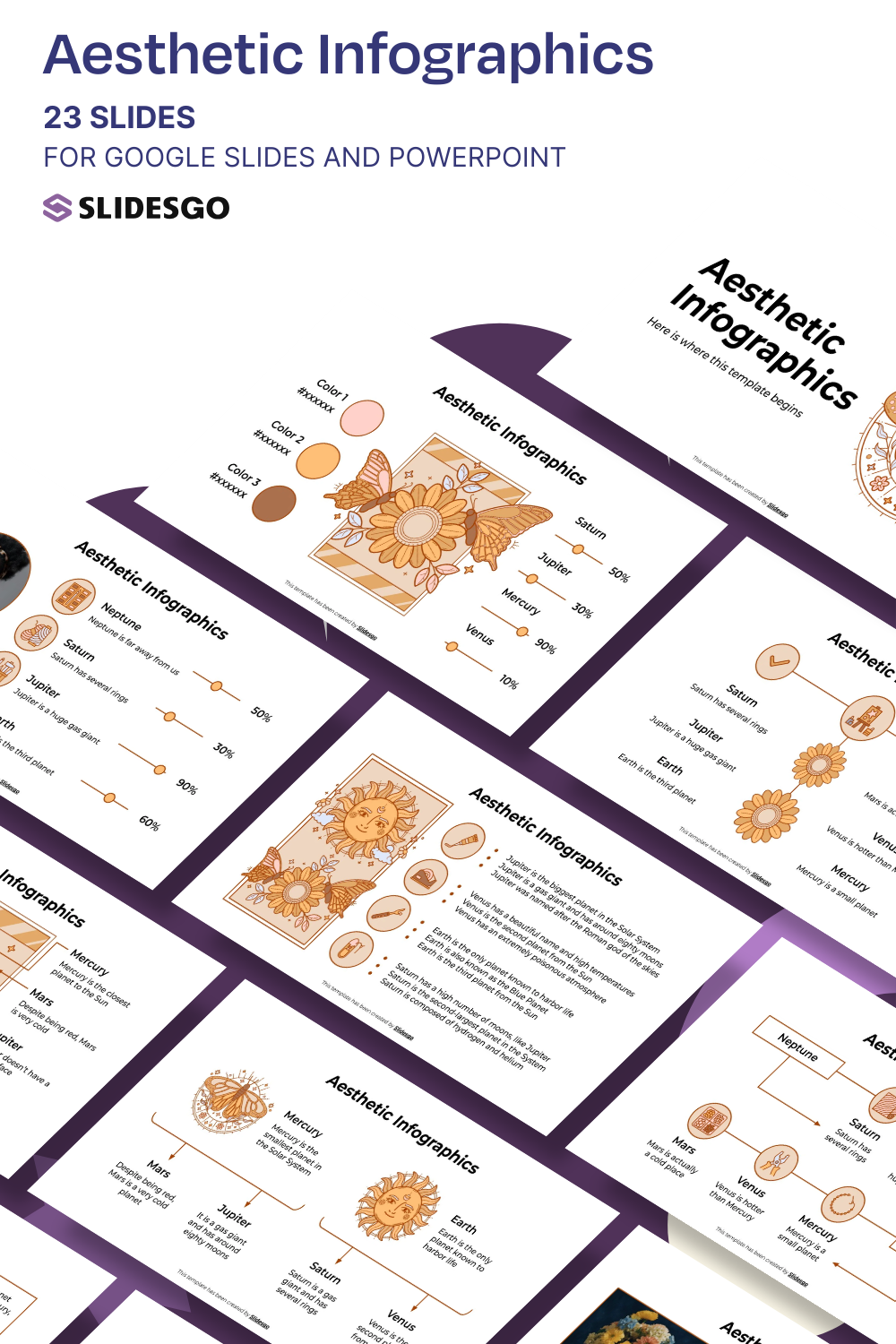 Aesthetic Infographics Template