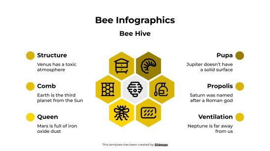 Bee Infographics Template