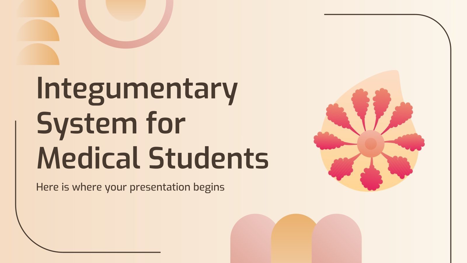 Integumentary System for Medical Students | Google Slides & PPT