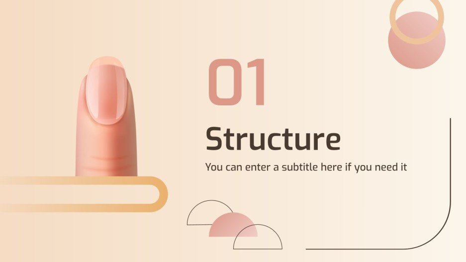 Integumentary System for Medical Students | Google Slides & PPT