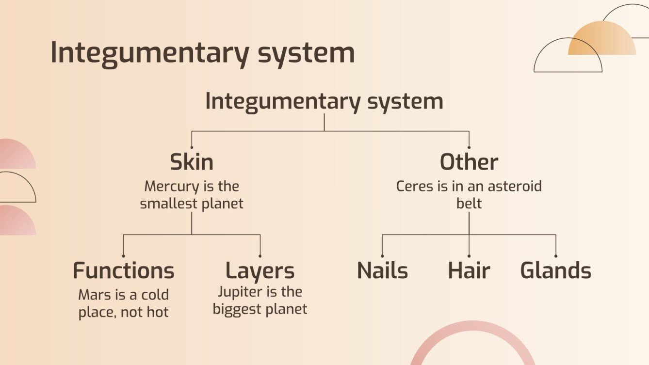 Integumentary System for Medical Students | Google Slides & PPT