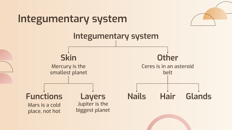 Integumentary System for Medical Students | Google Slides & PPT