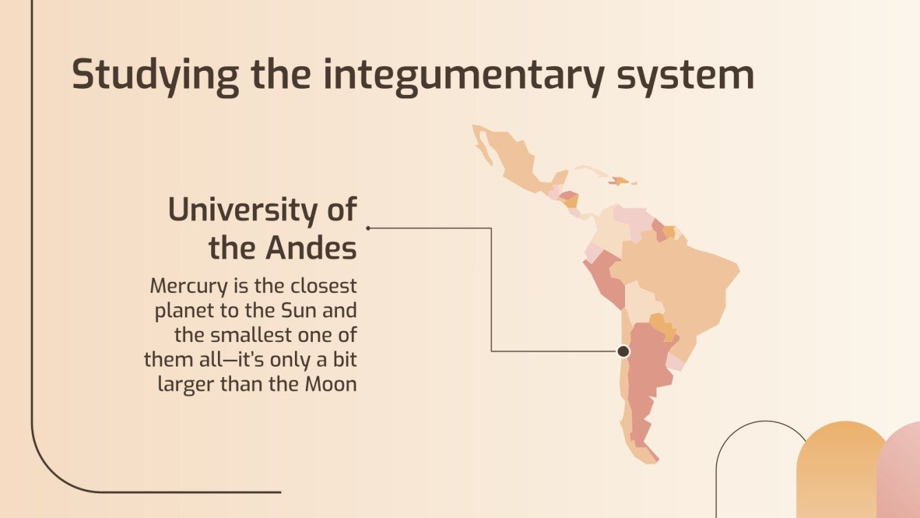 Integumentary System for Medical Students | Google Slides & PPT