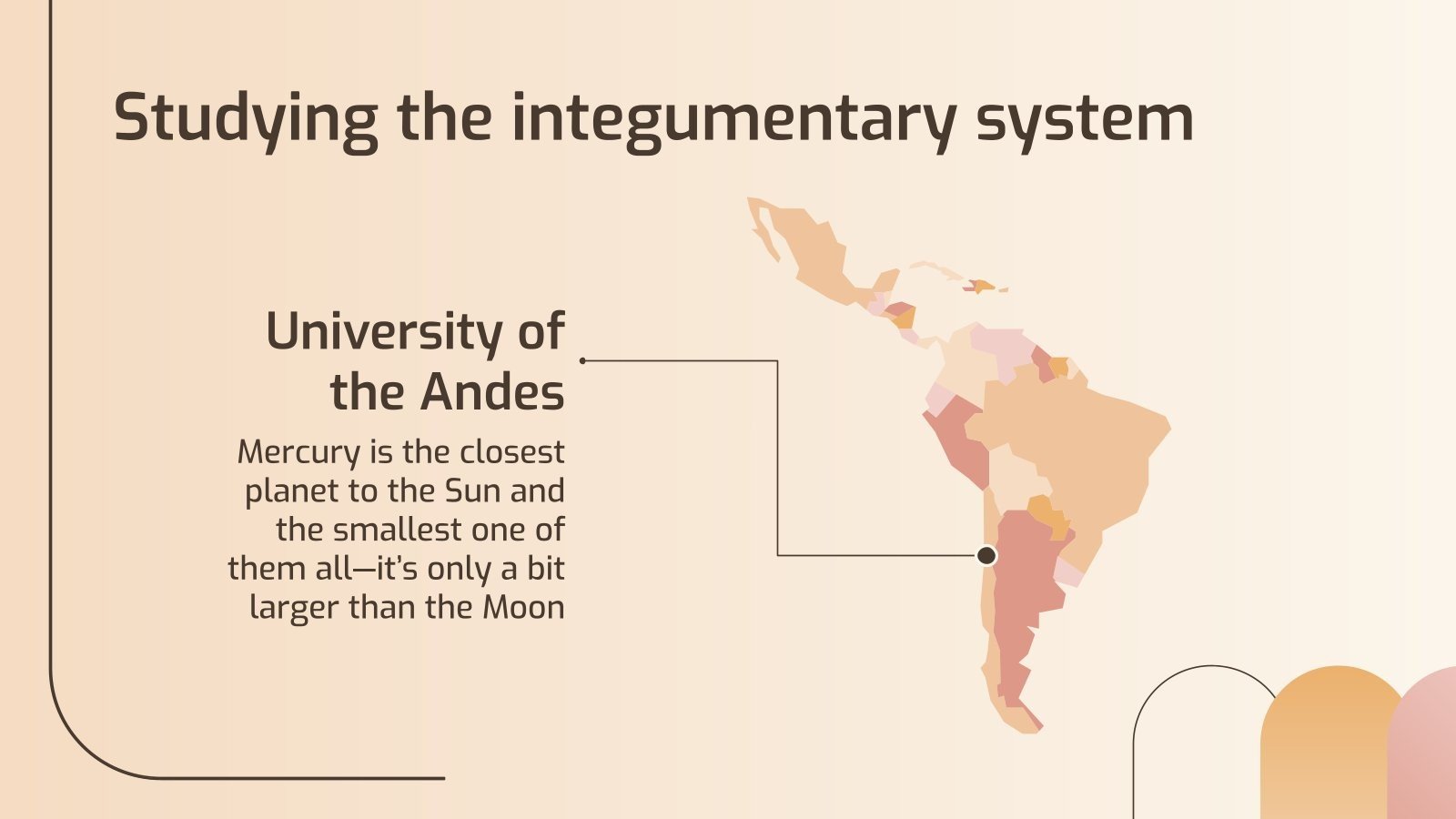 Integumentary System for Medical Students | Google Slides & PPT
