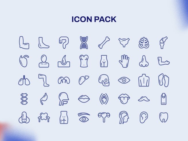 Medical Anatomy Poster Presentation