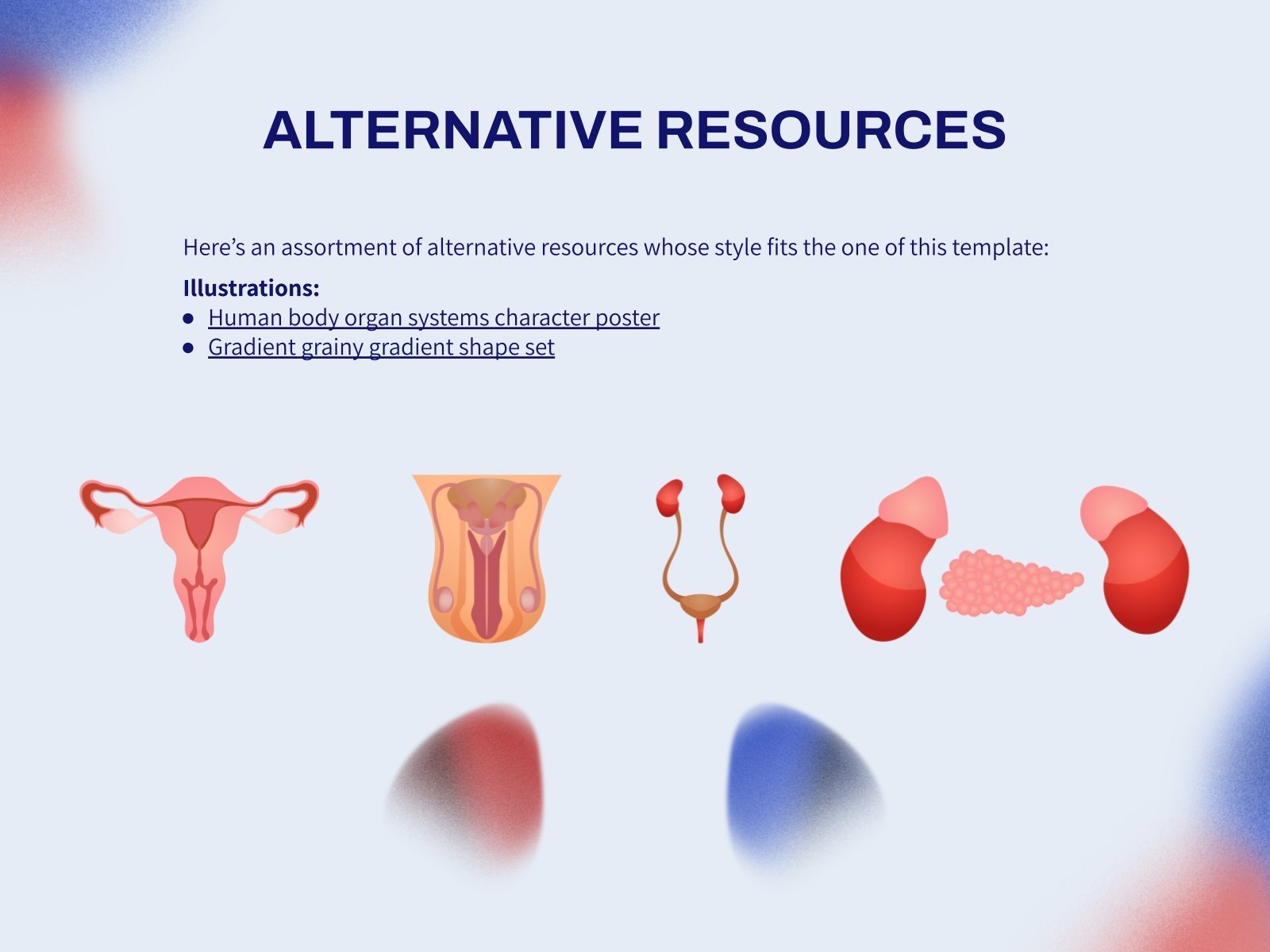 Medical Anatomy Poster Presentation