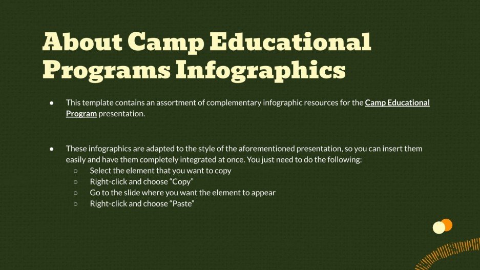 Camp Educational Programs Infographics Template