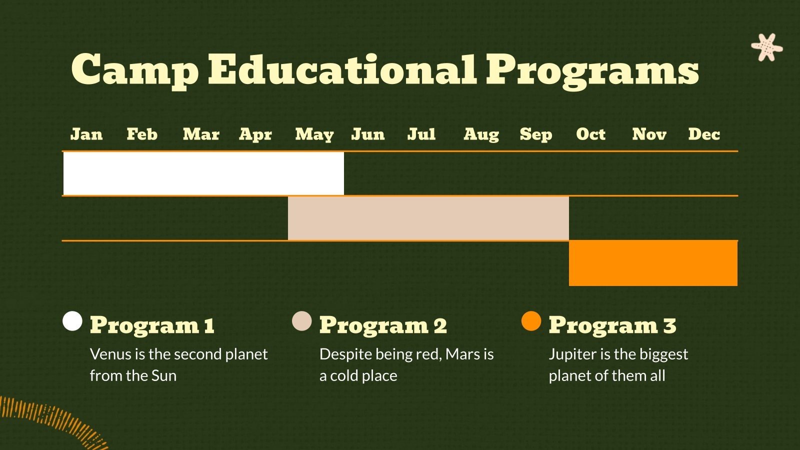 Camp Educational Programs Infographics Template