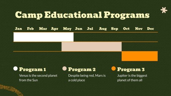 Camp Educational Programs Infographics Template