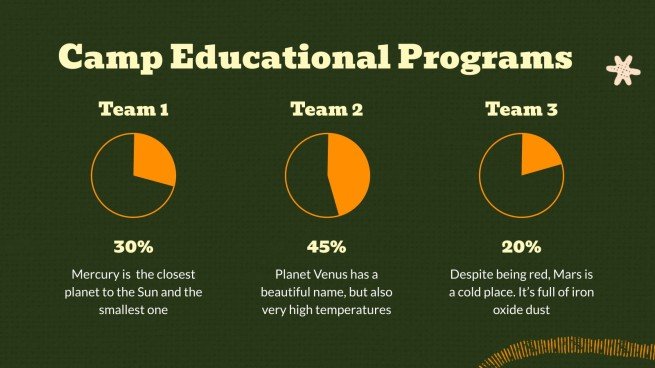 Camp Educational Programs Infographics Template