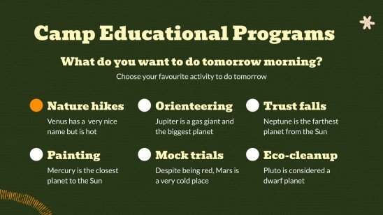 Camp Educational Programs Infographics Template