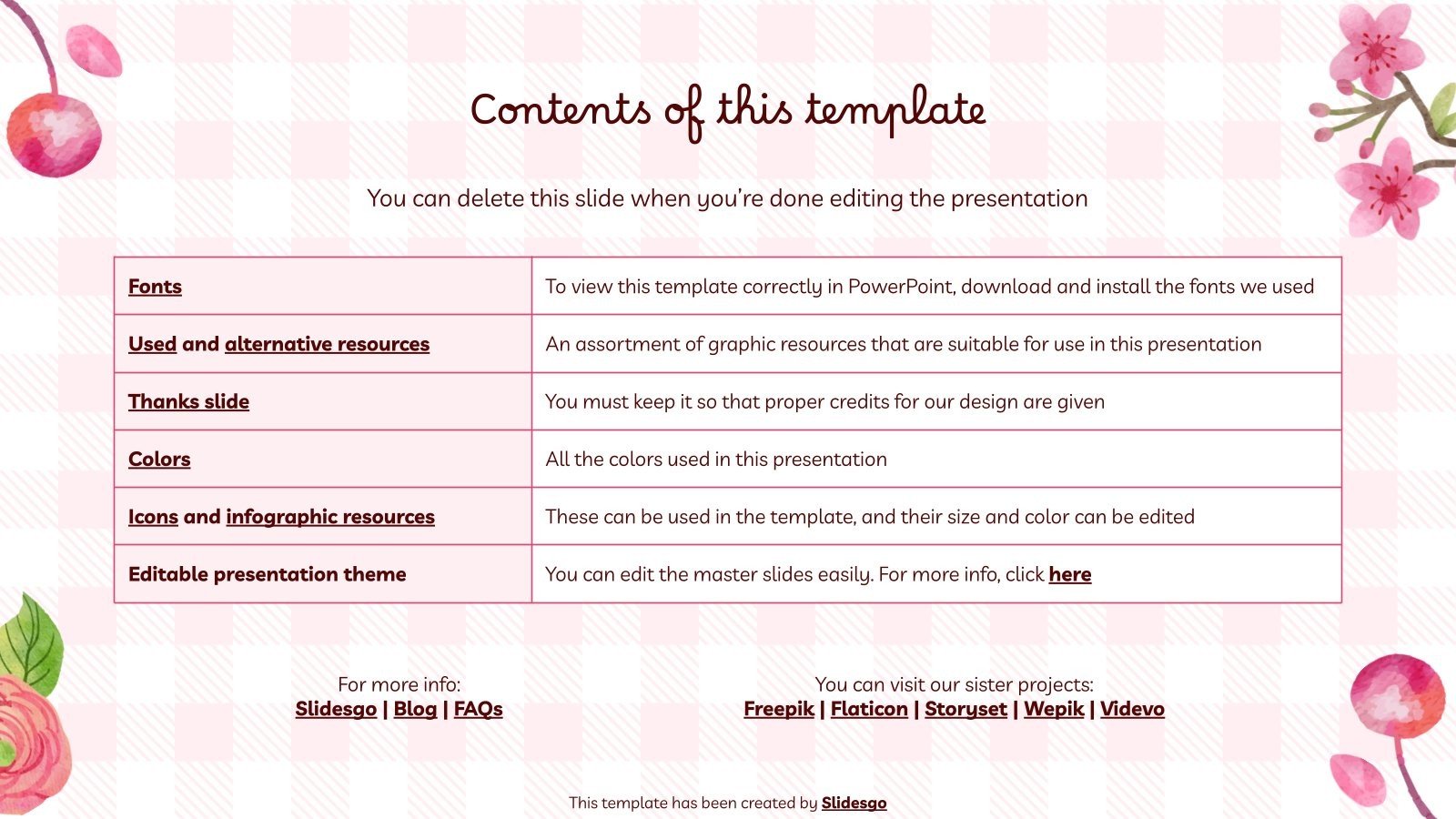 Coquette Aesthetic Planner Presentation