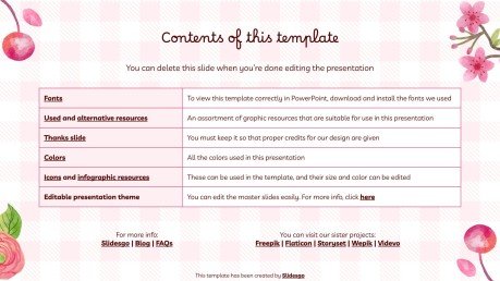 Coquette Aesthetic Planner Presentation