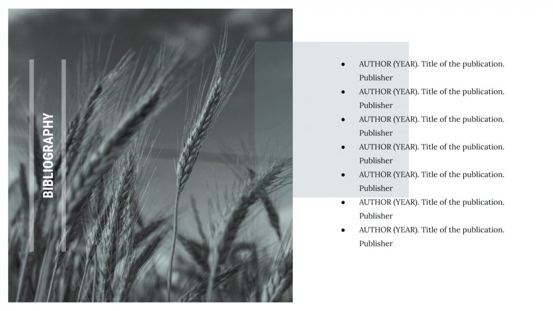 PhD Dissertation Google Slides Theme and PowerPoint Template