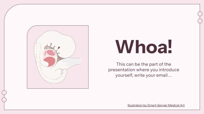 Sexual and Reproductive Health Presentation