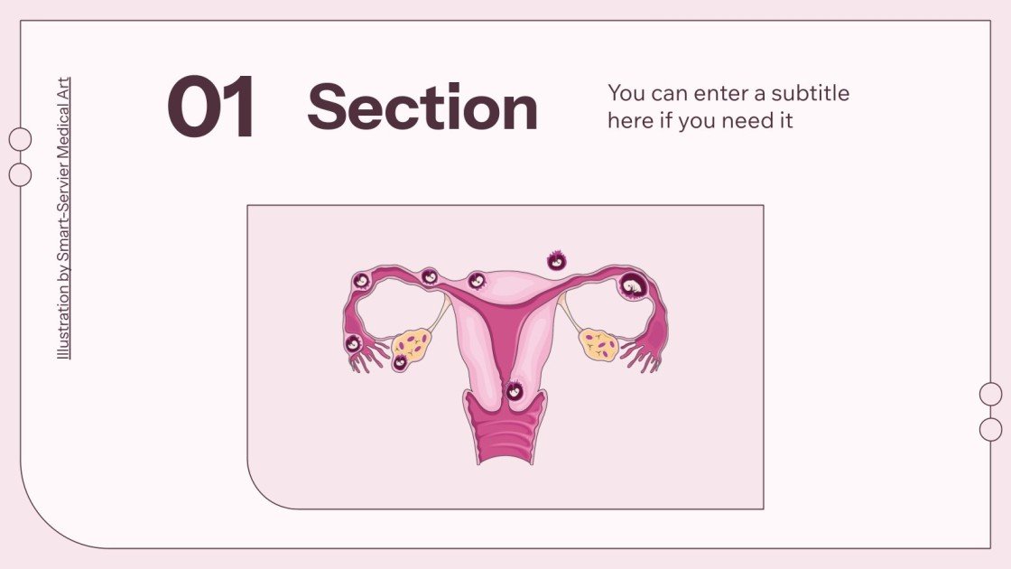 Sexual and Reproductive Health Presentation