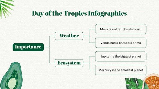 International Day of the Tropics Infographics