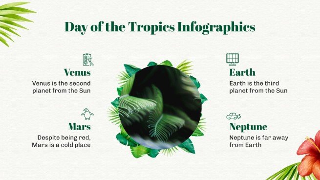 International Day of the Tropics Infographics