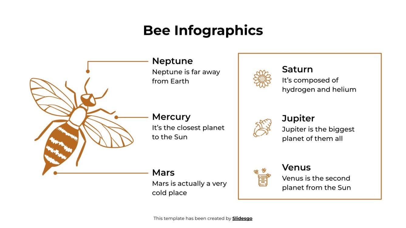 Bee Infographics Template