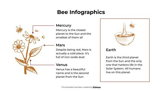 Bee Infographics Template