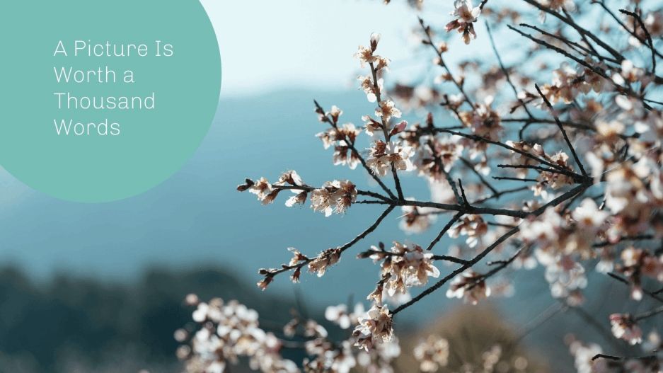 Poetry Workshop Google Slides Theme and PowerPoint Template