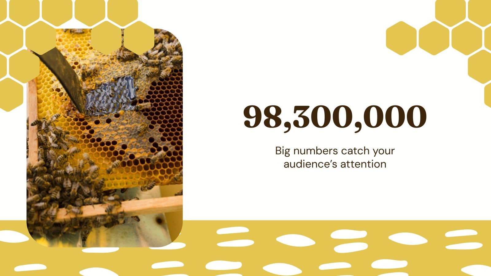 Bee Behavior Thesis Defense Presentation