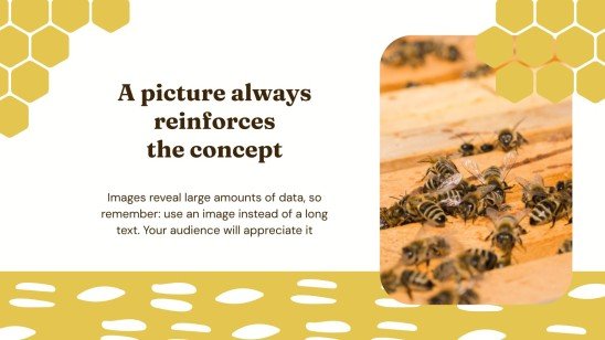 Bee Behavior Thesis Defense Presentation
