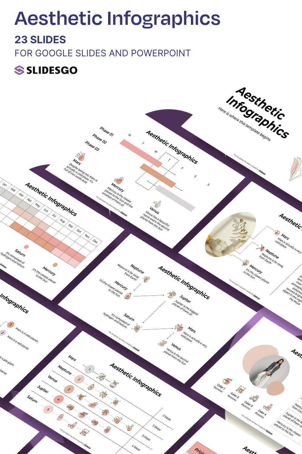 Aesthetic Infographics Template